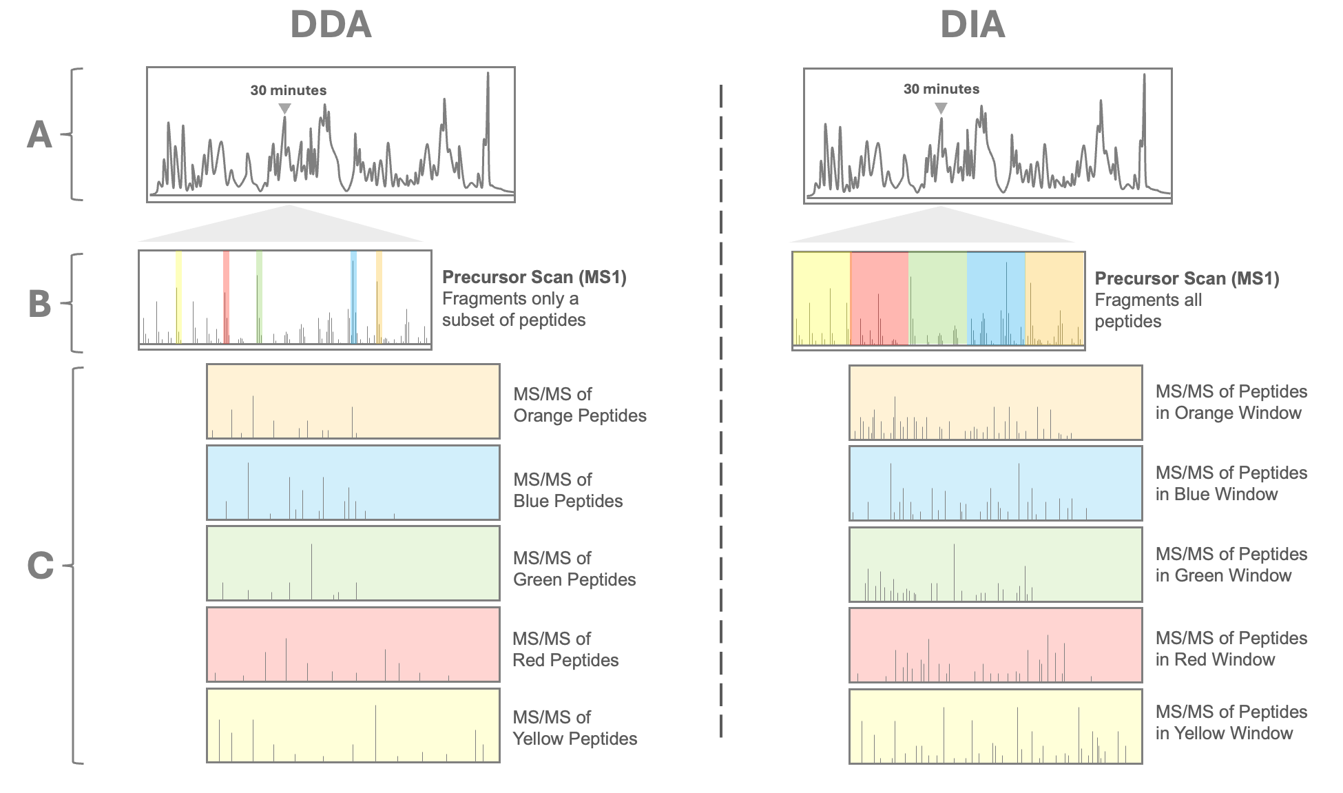 What's the difference between DIA & DDA proteomics?